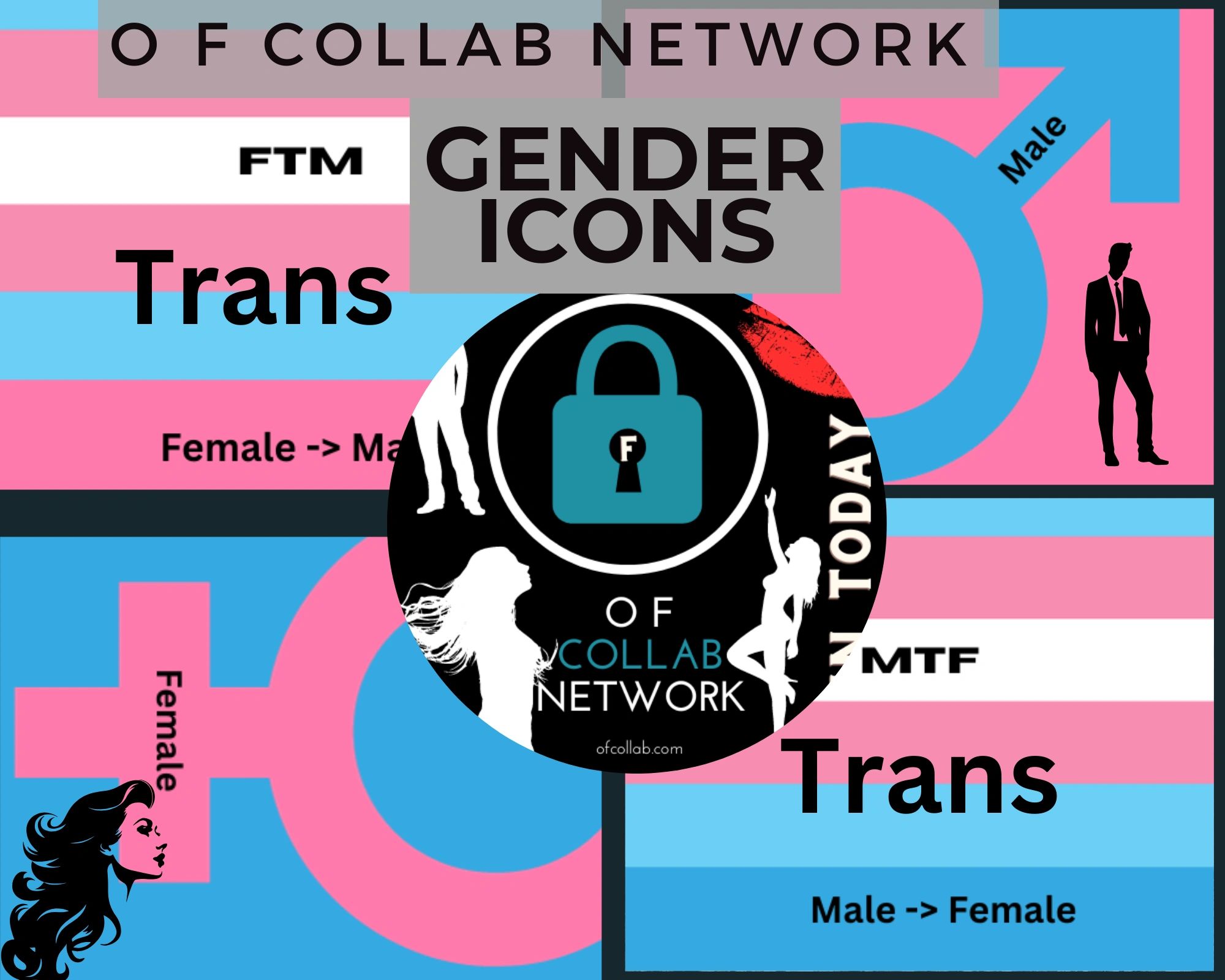 Introducing the O F Collab Network Map: Connect & Collaborate